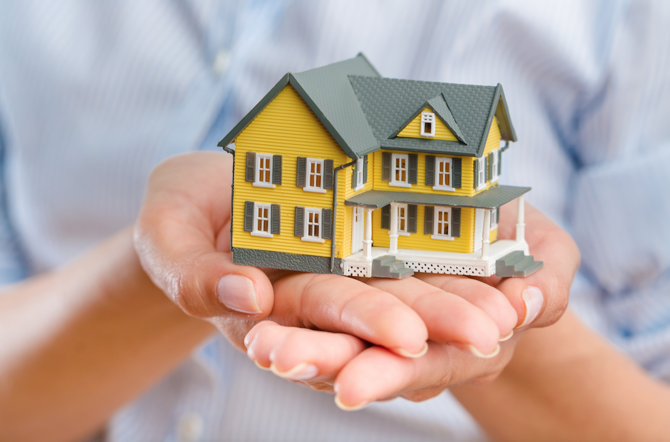 A Brief Introduction to Asset Protection Planning - ProActive Legal ...